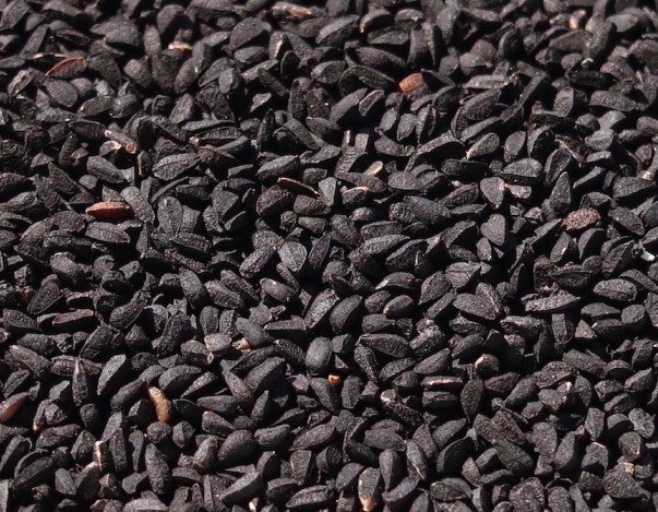 BOTANIKA Black Caraway Seeds, Nigella sativa, Czarnuszka 150g – Pewex ...